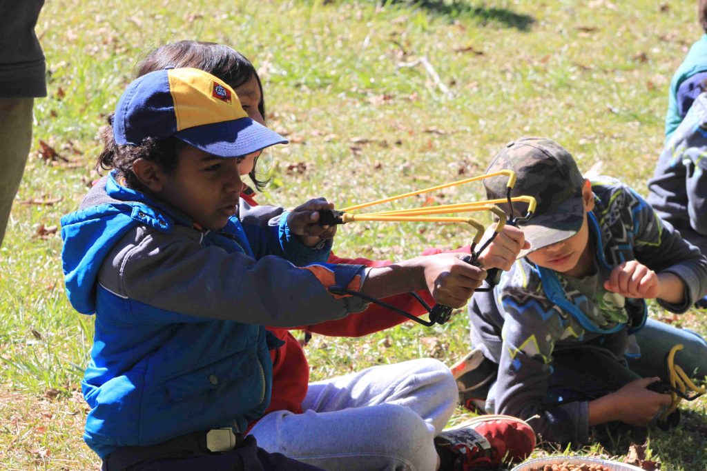 Islamic Council On Scouting